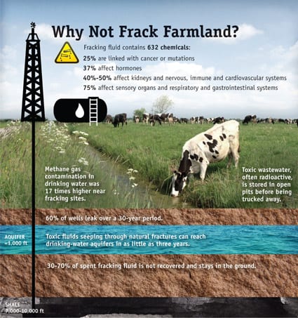 Fracking Effects On Animals