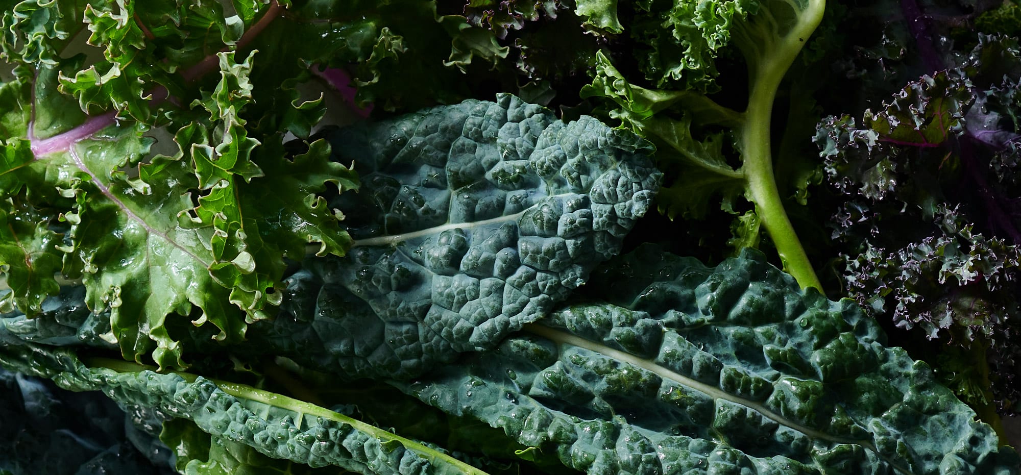 PCC Cooking Classes: Cooking classes in Seattle, Bothell, Edmonds ...